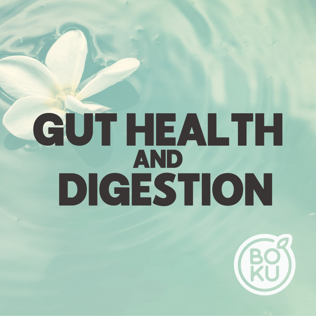 Best Foods for Gut Health and Digestion | Boku Superfood – tagged ...